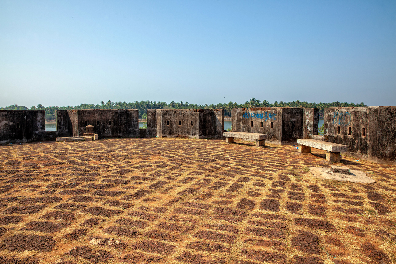 Mangalore Sultan Battery – Alevin Vizöründen